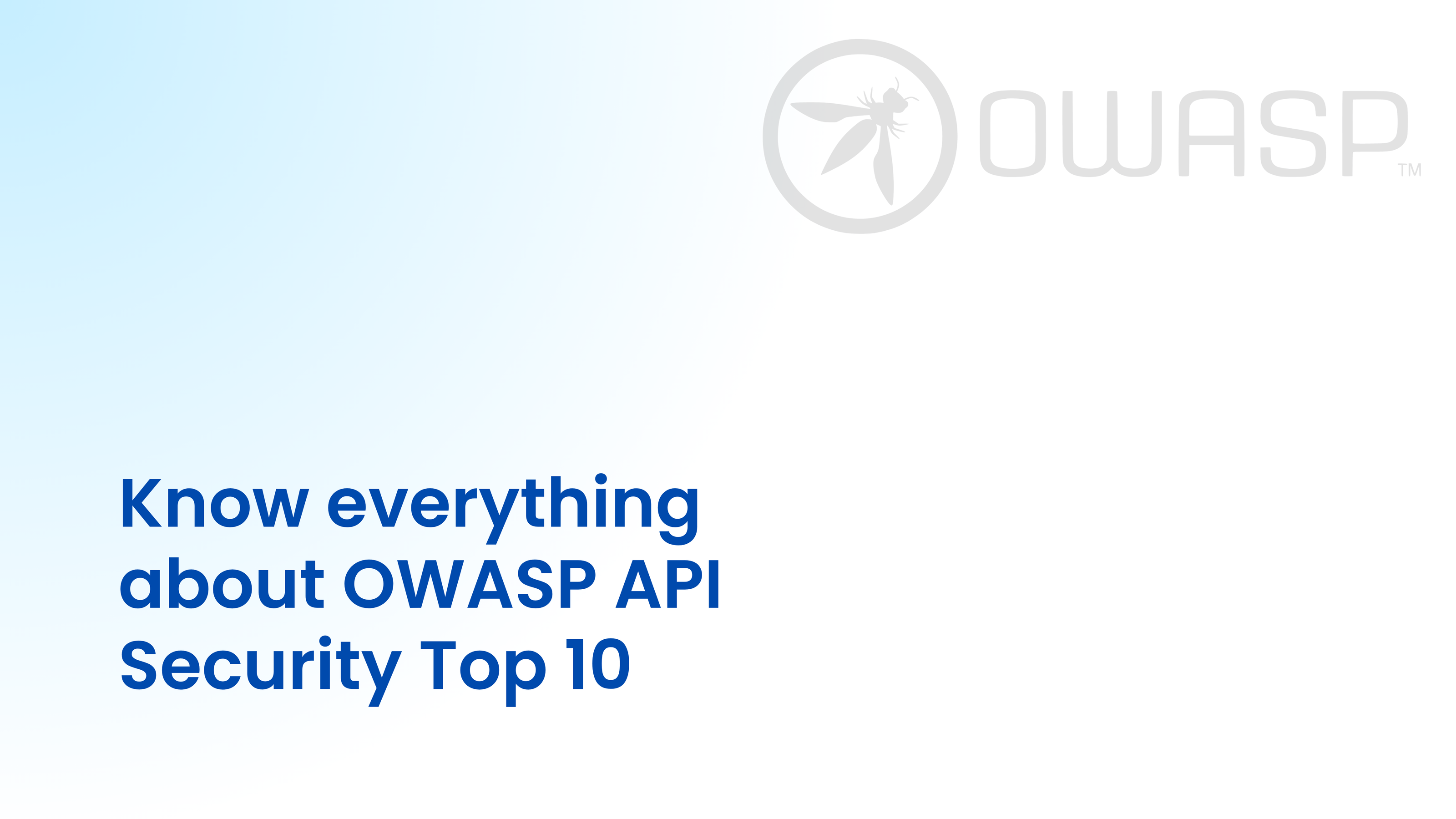 Guide to OWASP API Security Top 10